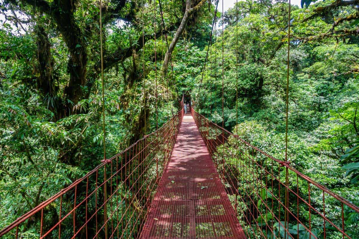 8 Things To Know BEFORE Ziplining In Monteverde Costa Rica Travel Life 8 Things To Know BEFORE Ziplining In Monteverde Costa Rica Travel Life