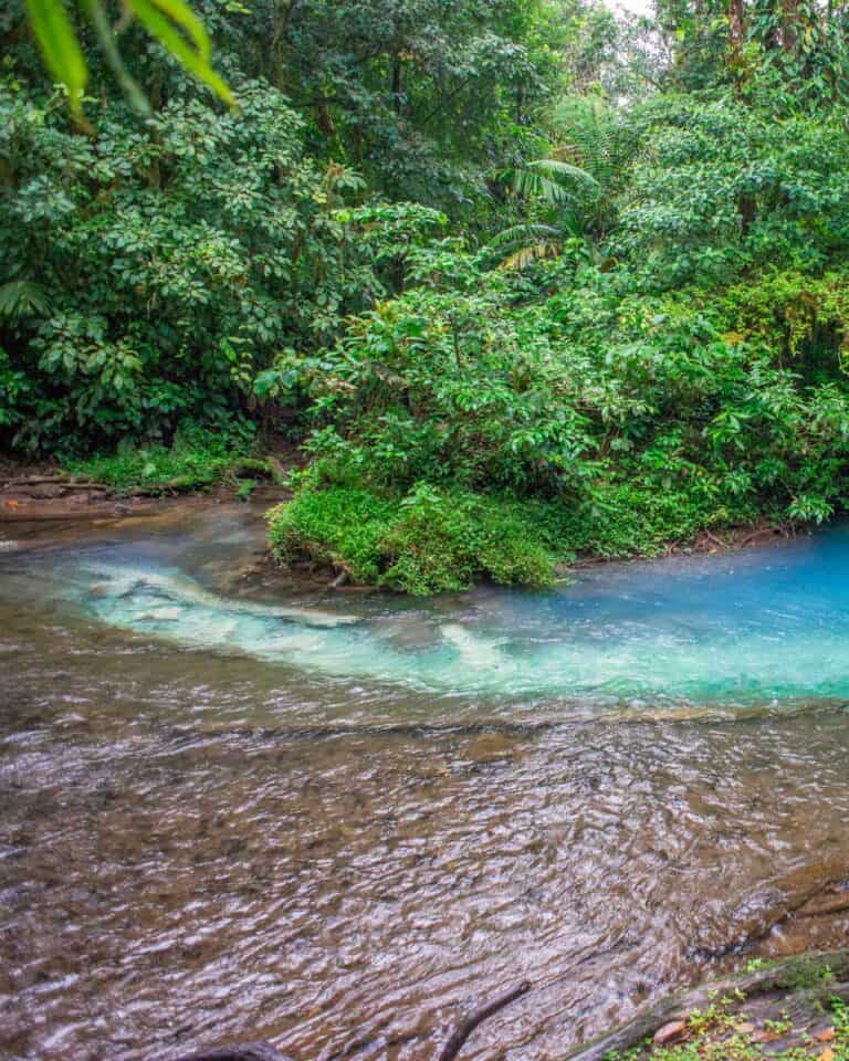 18 BEST Waterfalls in Costa Rica You Need To Visit (2024 Guide!)