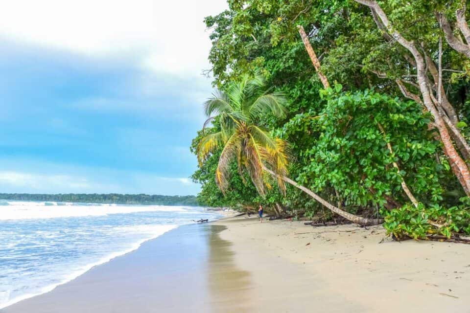 21 BEST Beaches in Costa Rica that You'll Love - Costa Rica Travel Life