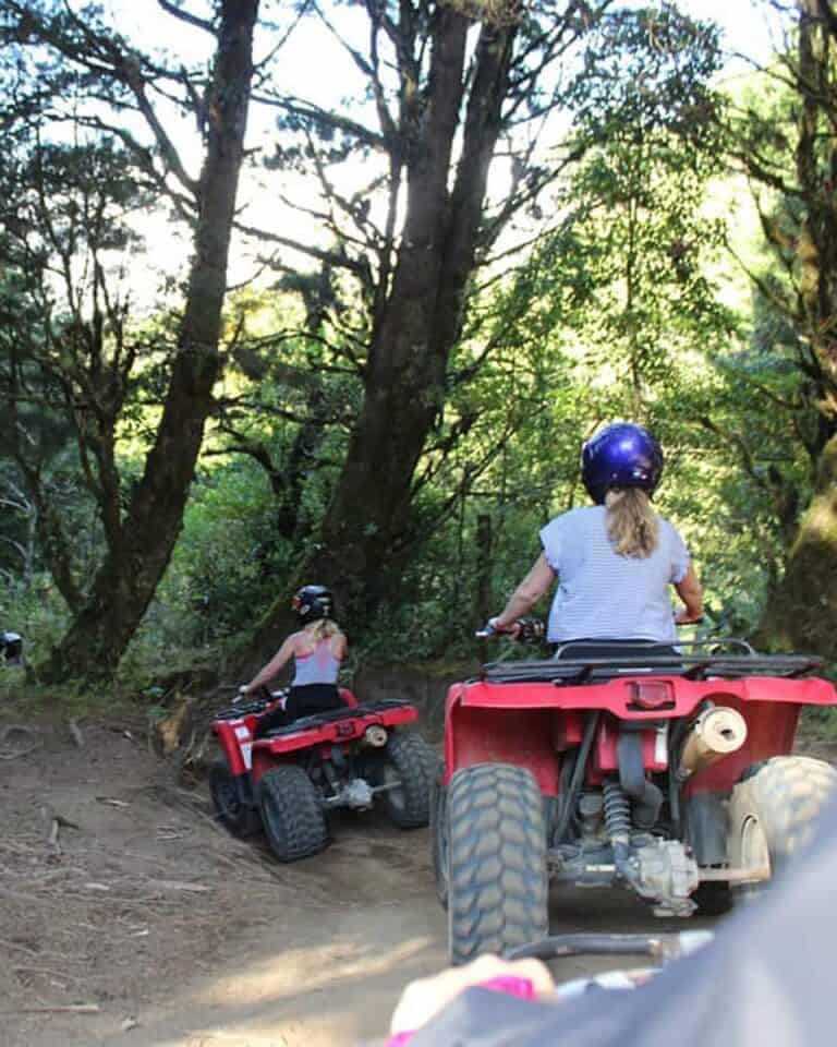 4 BEST Hanging Bridges in Monteverde + How to Visit Them!