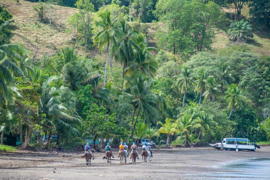 COMPLETE Guide to visiting the Osa Peninsula + 10 Fun Things to Do!