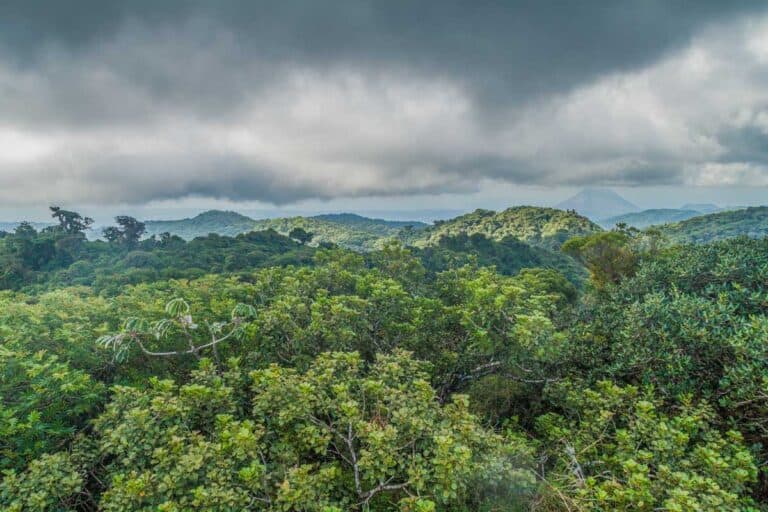 18 Things to KNOW Before Visiting Monteverde Cloud Forest