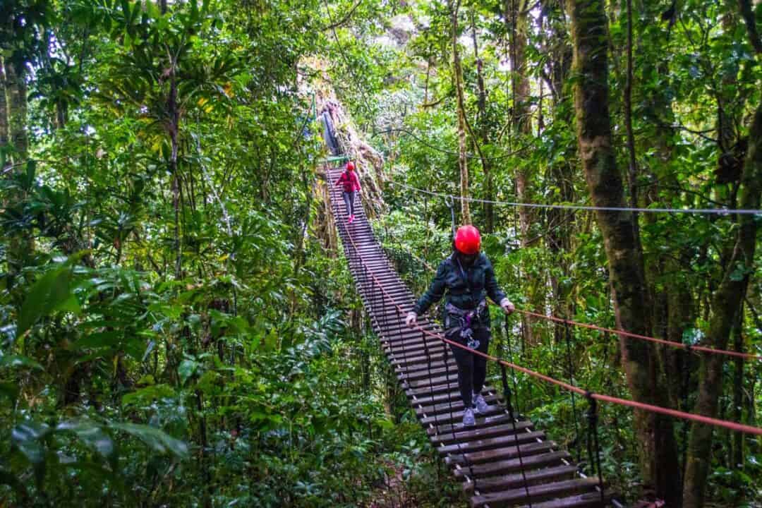 4 BEST Hanging Bridges in Monteverde + How to Visit Them!