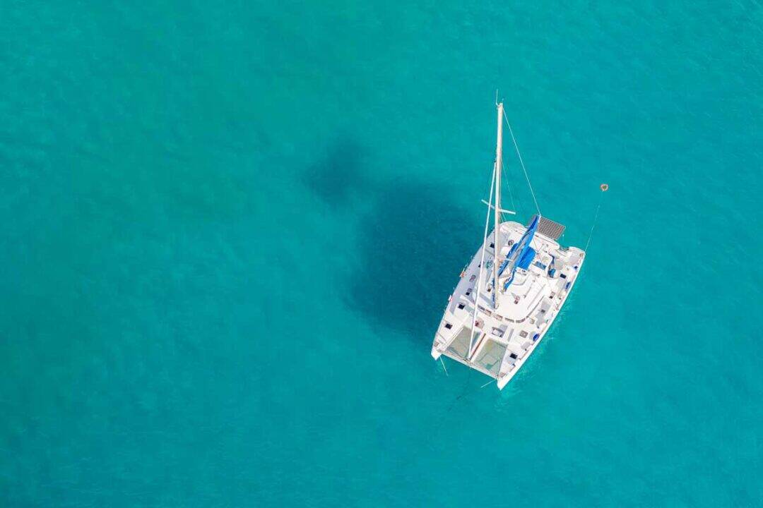 15 BEST Tours in Manuel Antonio, Costa Rica - Costa Rica Travel Life