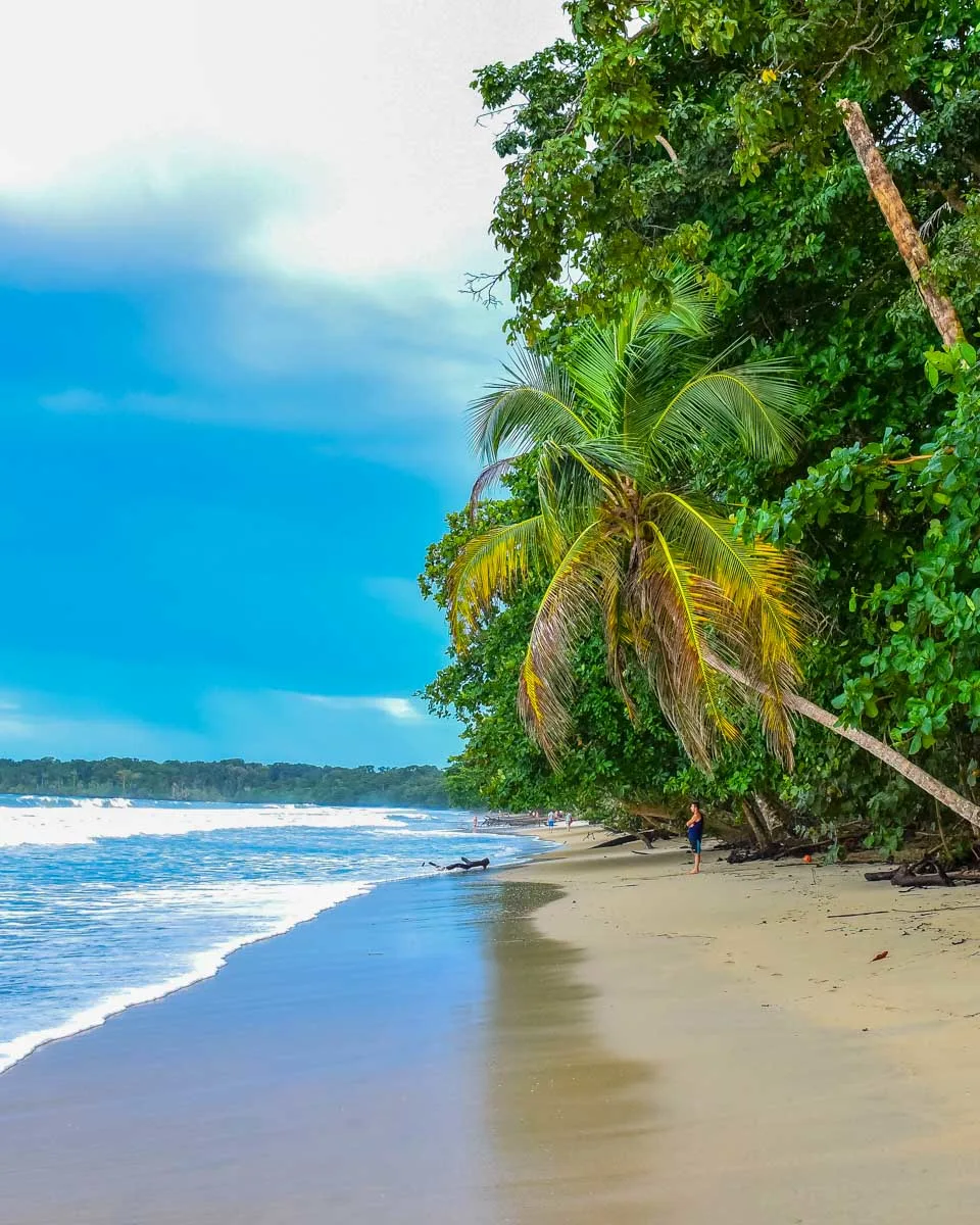 20 Things To KNOW Before Visiting Cahuita National Park